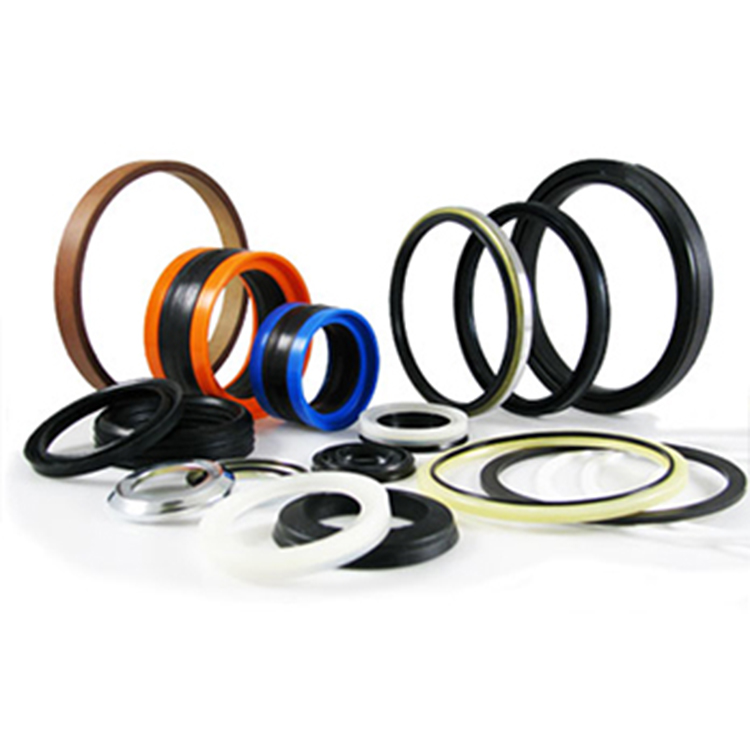 Hydraulic Cylinder Repair Kit Tasegroup